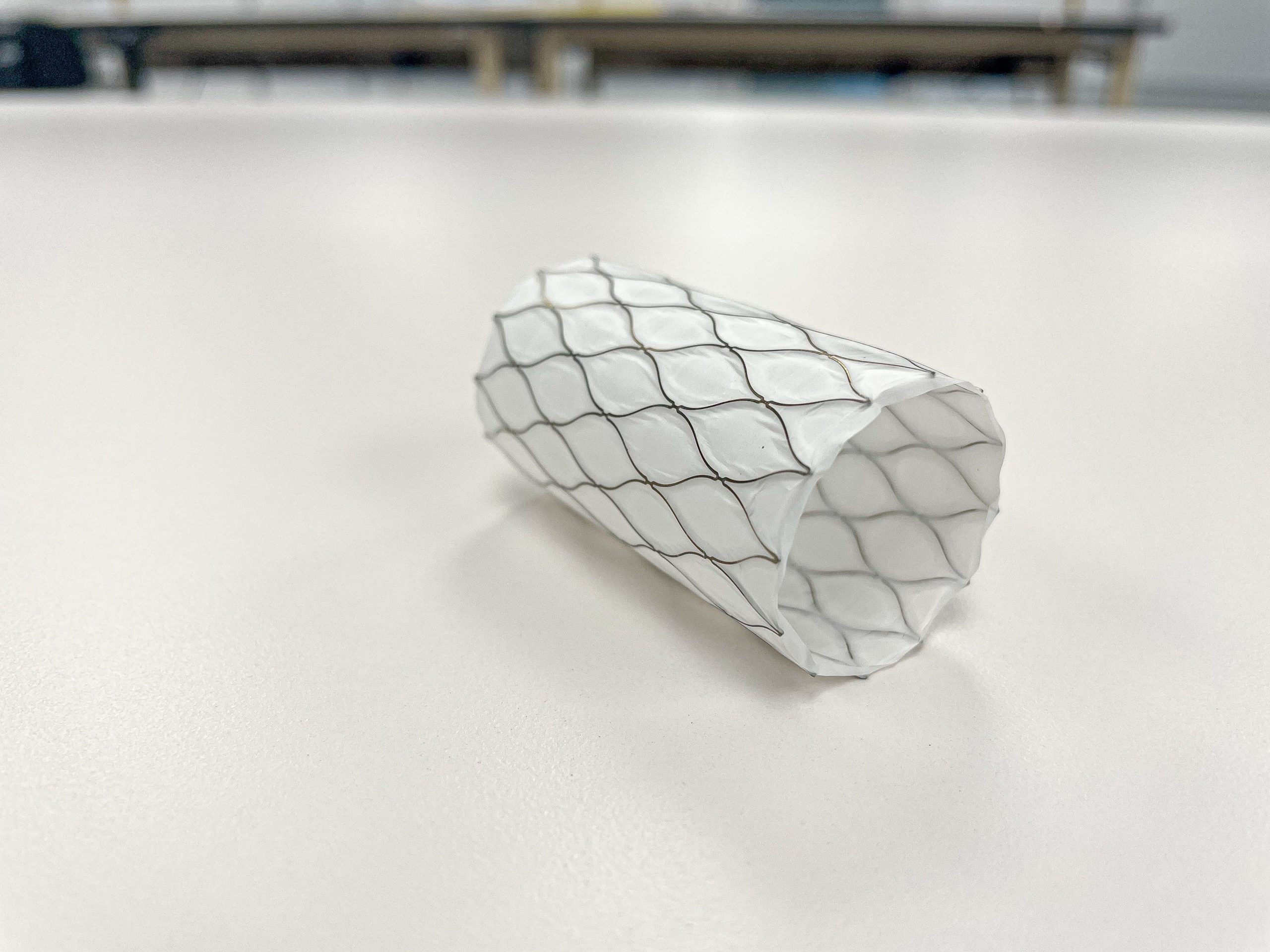 Covered Stents and Frames - Medical Murray